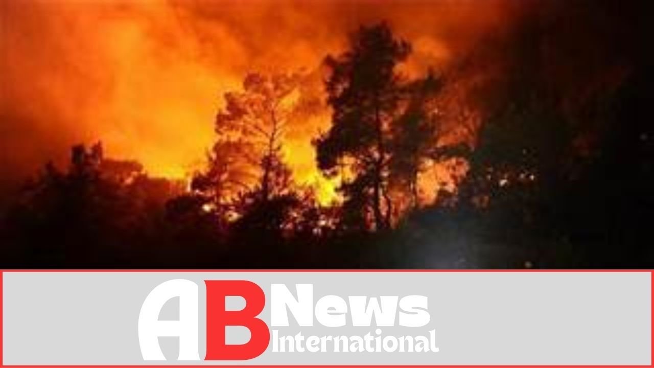 Inferno in Iwate: Japan Faces Its Largest Forest Fire in Decades - AB ...