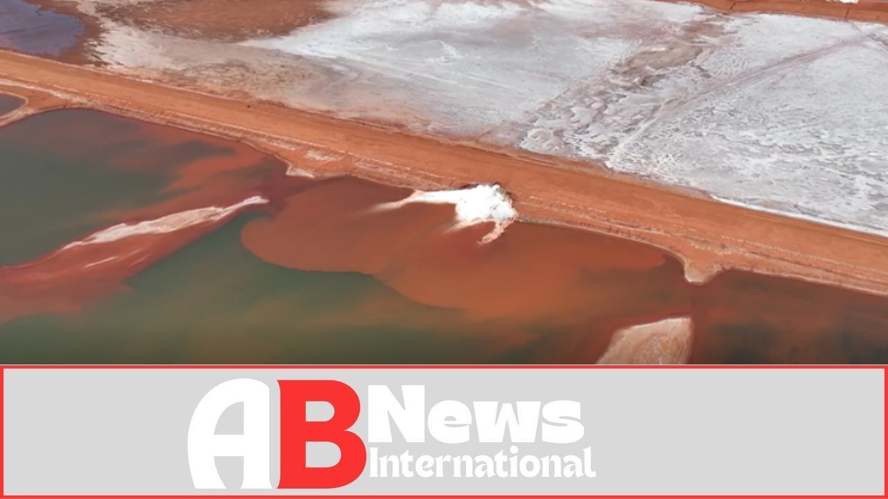 World’s Largest Salt Company Abandons Decade-Long Development in ...