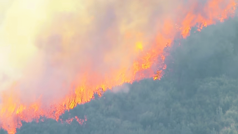 Campers Evacuated as Bushfires Rage on Moreton Island and Across ...
