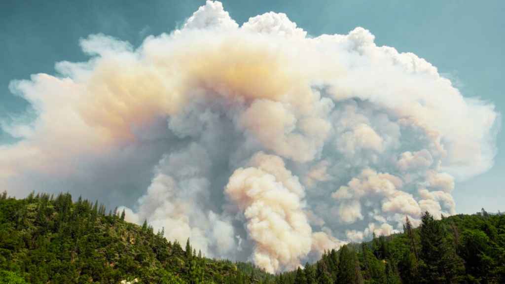 Extreme Bushfire Near Walwa Generates Its Own Weather, Forms ...
